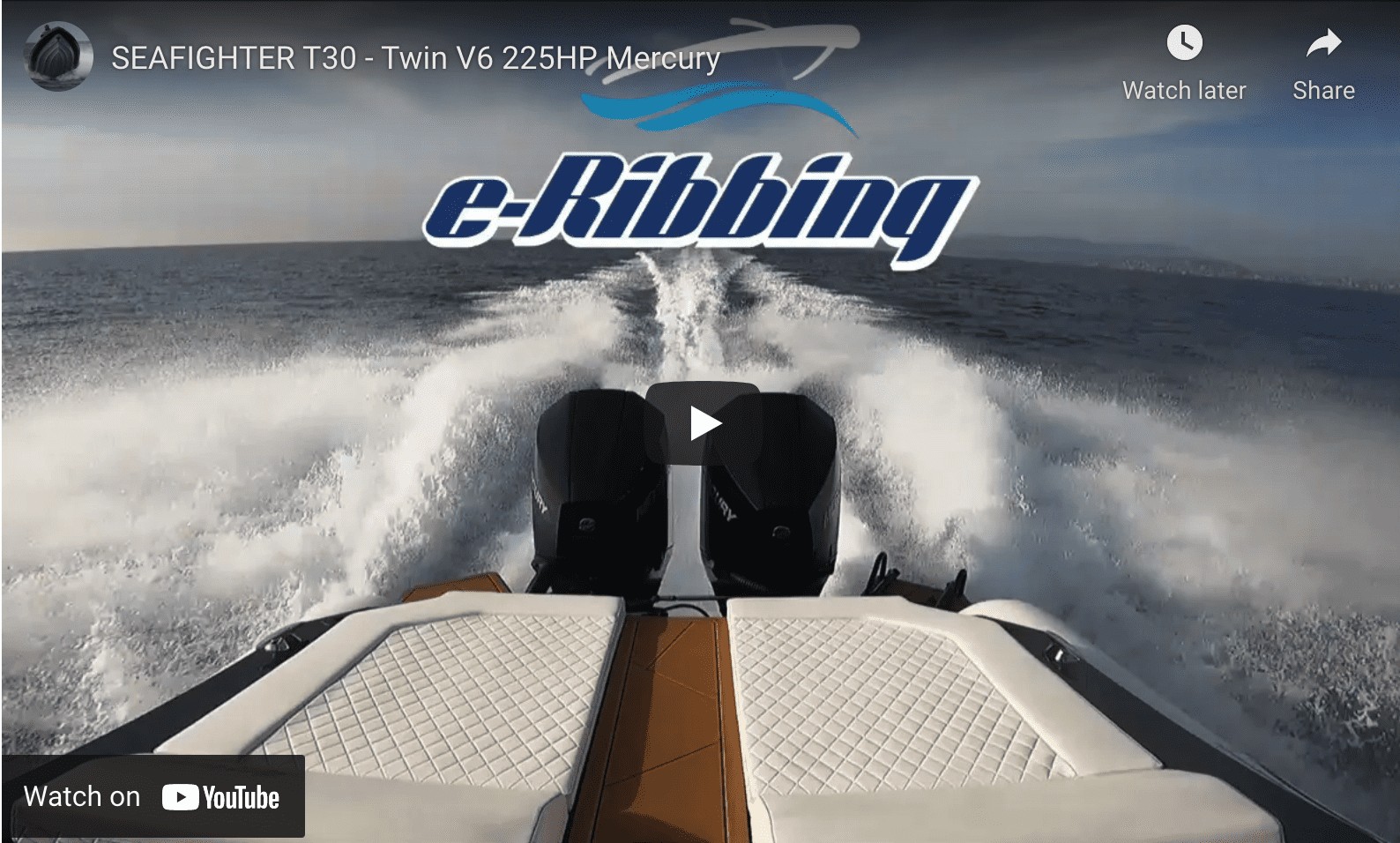 Seafighter T30 RIB - Twin V6 225HP Mercury - RIBs ONLY