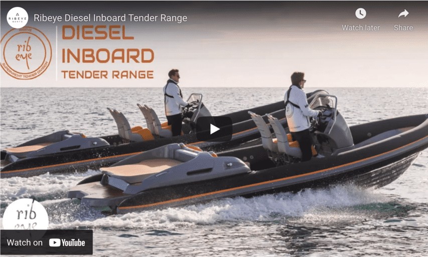 Ribeye Diesel Inboard Tender RIBs' Sea Capabilities
